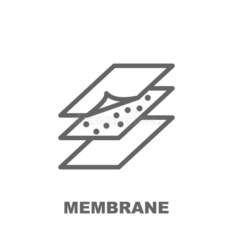 Membrane Icon. Element of Row Matterial Icon. Thin Line Icon for ...