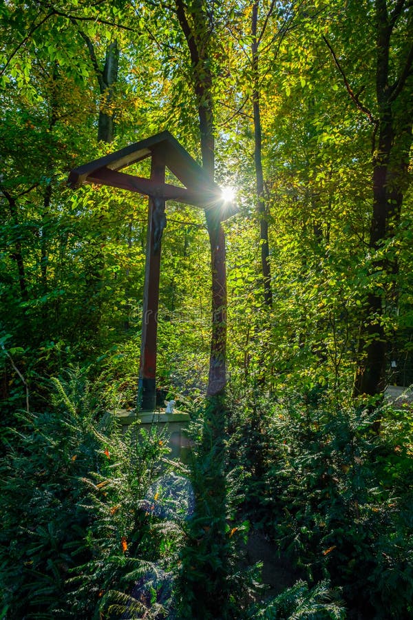 Memorial Cross in Forest Sunlight Stock Image - Image of path, cross ...