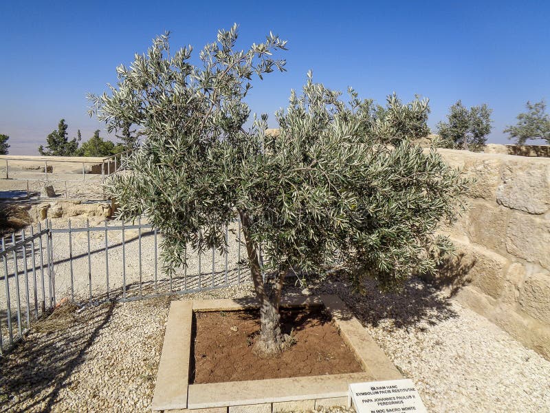 The Memorial of Moses in Jordan Editorial Stock Image - Image of clouds ...