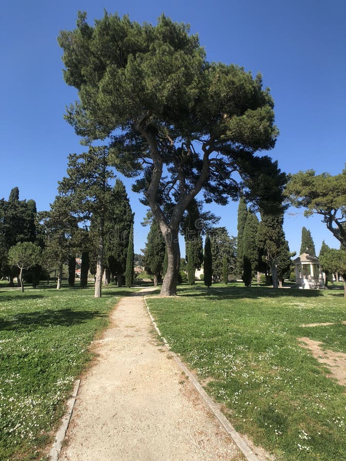 Memorial park sustipan foto de stock. Imagem de parque - 186197668