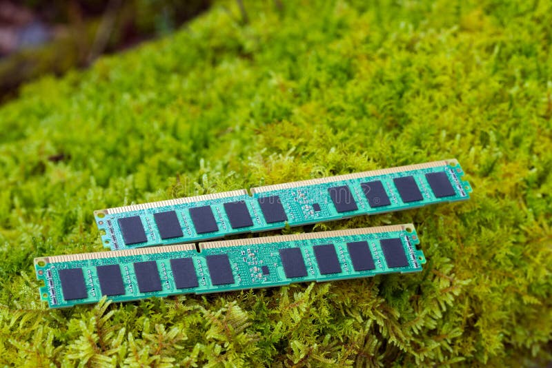 Memories on a moss stock photo. Image of conductor, memory - 272435082