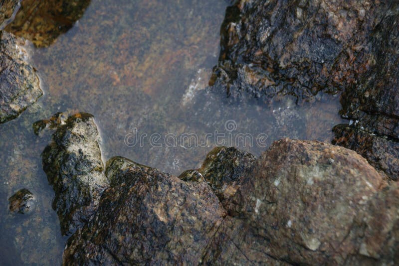 Memory from the Beach on Summer Holidays Stock Image - Image of closeup ...