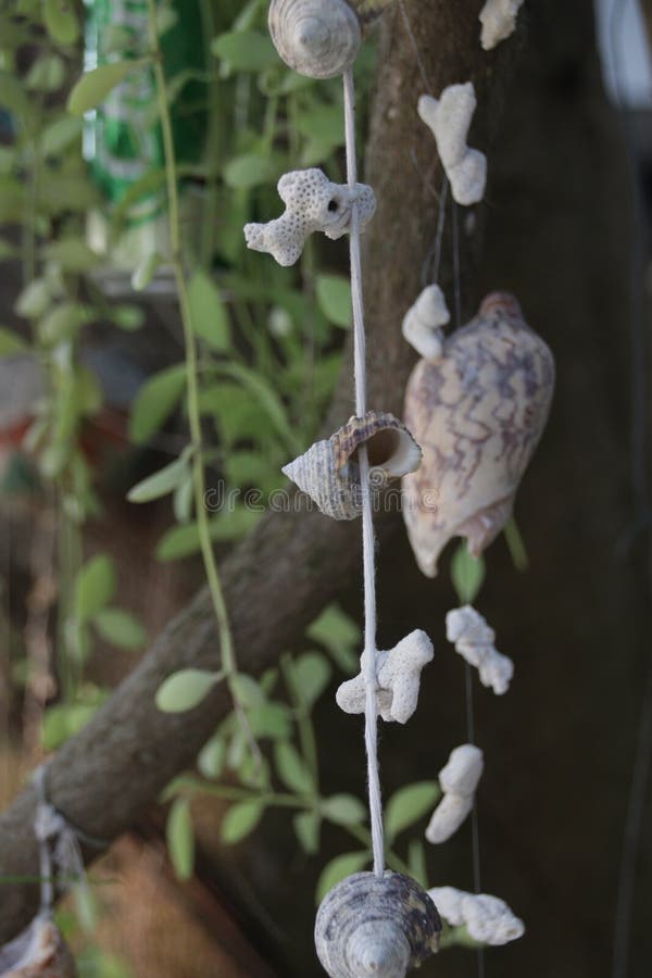Memory from the Beach on Summer Holidays Stock Image - Image of beach ...