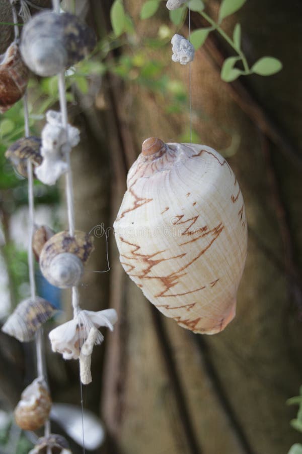 Memory from the Beach on Summer Holidays Stock Image - Image of beach ...