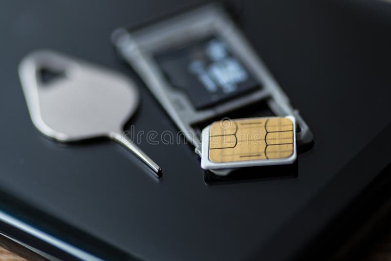Memory Card Micro Sd and Micro Sim Card Tray Stock Image - Image of ...