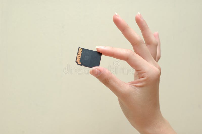 Memory Card and Woman hand stock image. Image of scientific - 361245