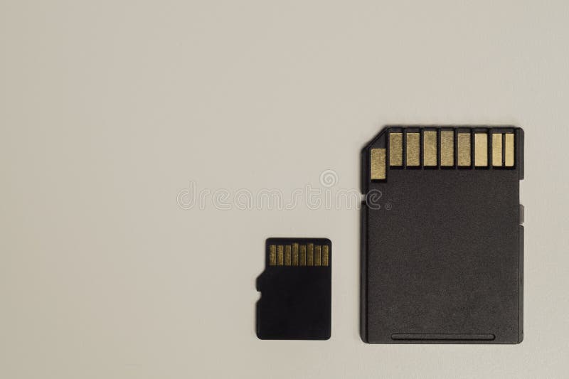 Memory Cards Isolated on White Background. Sd Card and Copy Space Stock ...