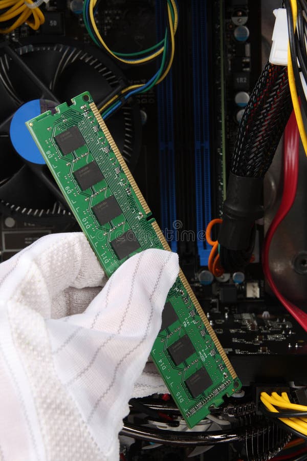 Memory into computer stock photo. Image of support, assembly - 14461562