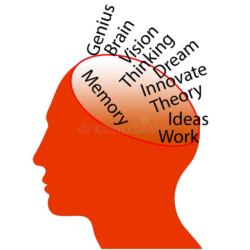 Flowchart Vector Illustration Stock Vector - Illustration of ...