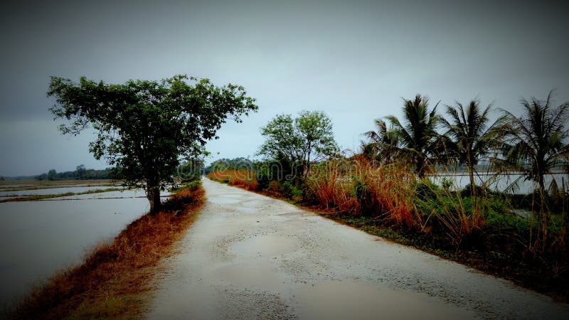 Memory lane stock image. Image of beautiful, accompanied - 84568219