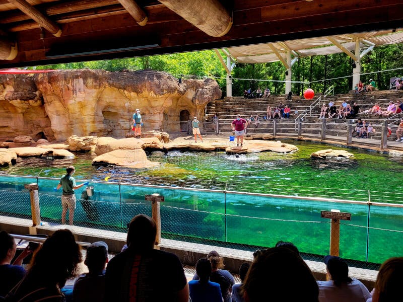 Memphis zoo attraction editorial stock image. Image of tree - 254666524