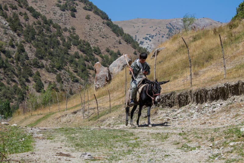 Men or Boy Riding a Donkey on the Mountain Path Editorial Stock Photo ...