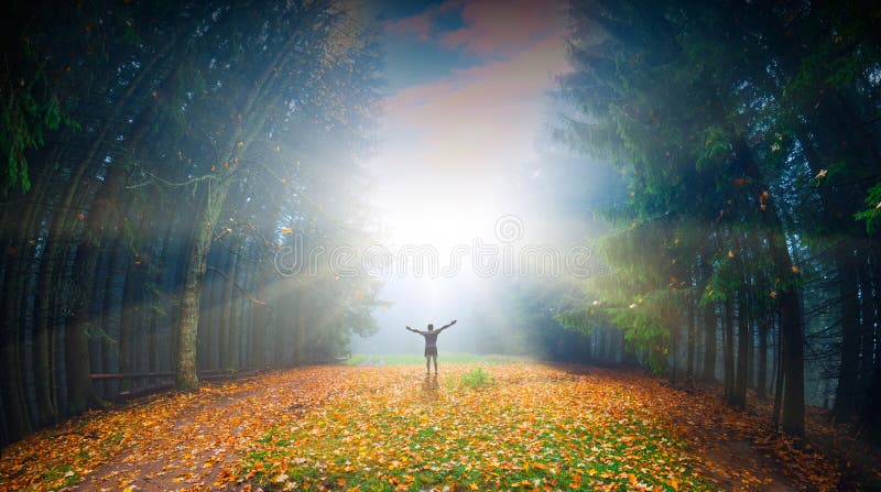 Men & Bright sunlight stock image. Image of fear - 50592725