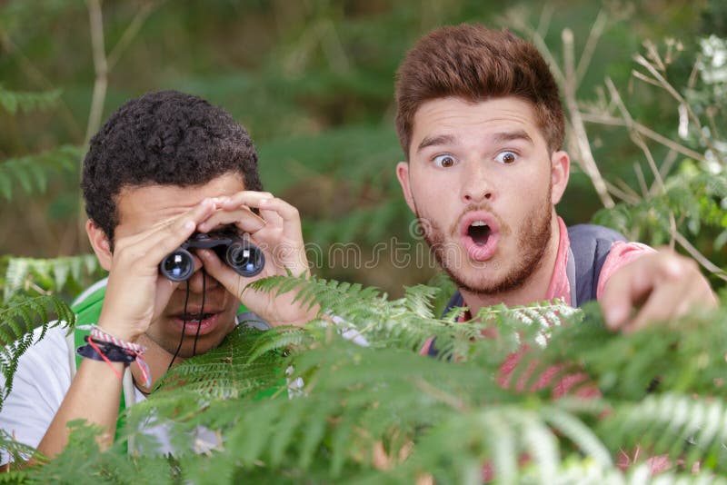 Men in Bushes Getting Shock when Looking through Binoculars Stock Photo ...