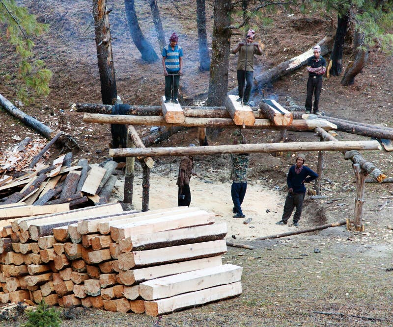 Men Cutting Timber by Primitive Method in Western Nepal Editorial Stock ...