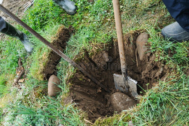Man is digging a pit. stock photo. Image of plant, spade - 90752040