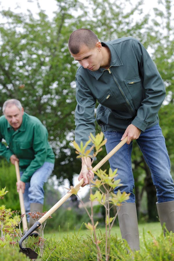 Men Digging with Spade on Garden Stock Image - Image of fifties ...