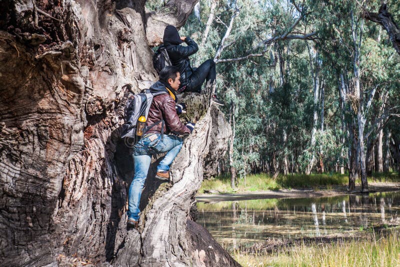 Men stock photo. Image of adventure, texture, growth - 49440864