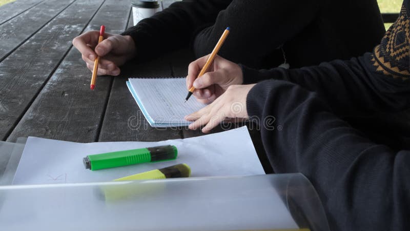 Men Doing Homework at Bench Stock Footage - Video of common, exam ...