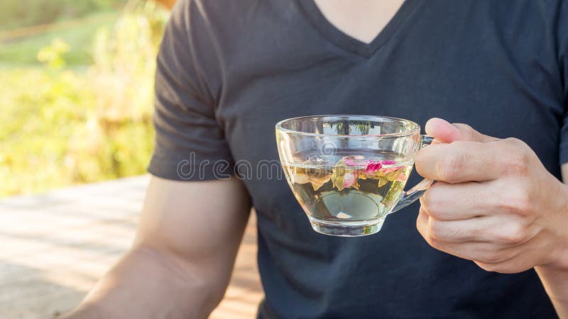 Men Drinking a Tea Pink Rose Stock Image - Image of aromatherapy ...