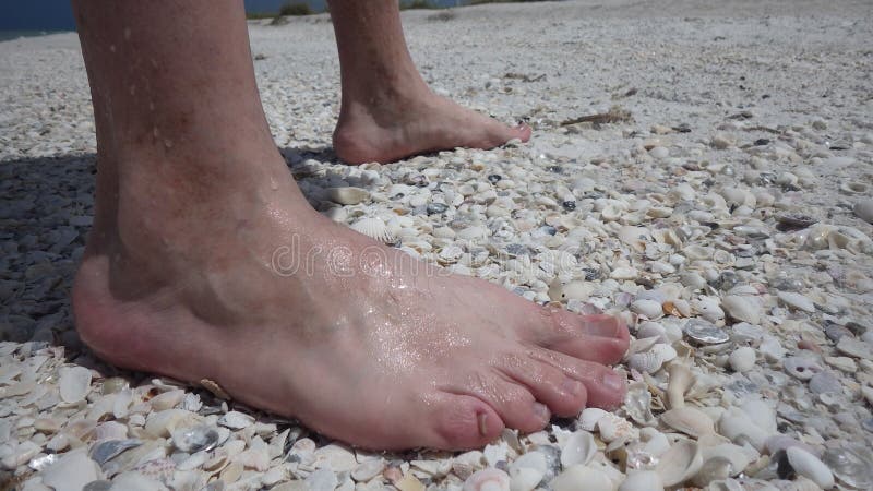Men Feet Stand on Broken Shells on the Beach Stock Image - Image of ...