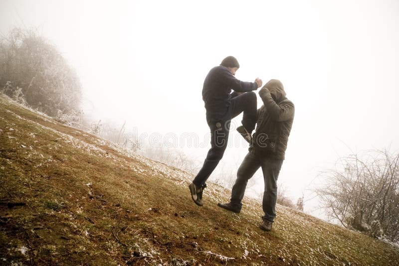 Men fighting stock photo. Image of adults, performing - 2522474
