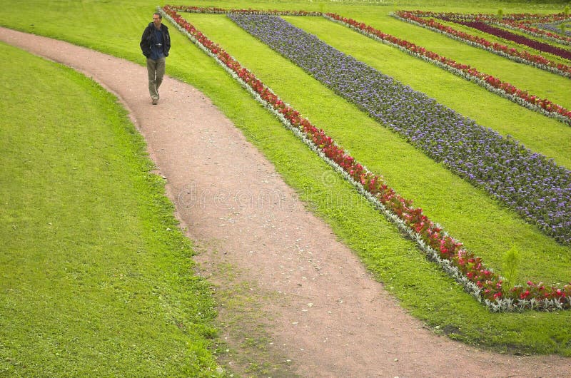 The Men Goes on a Path of Park Stock Image - Image of landscape ...