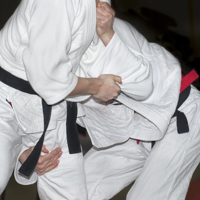 Hands in judo stock photo. Image of hand, kata, sport - 30171064