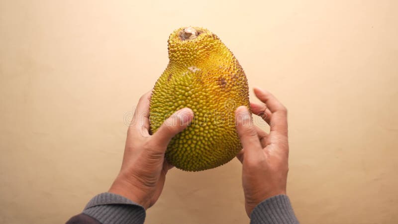Men Holding a Jackfruit Top View Stock Video - Video of pulp, exotic ...