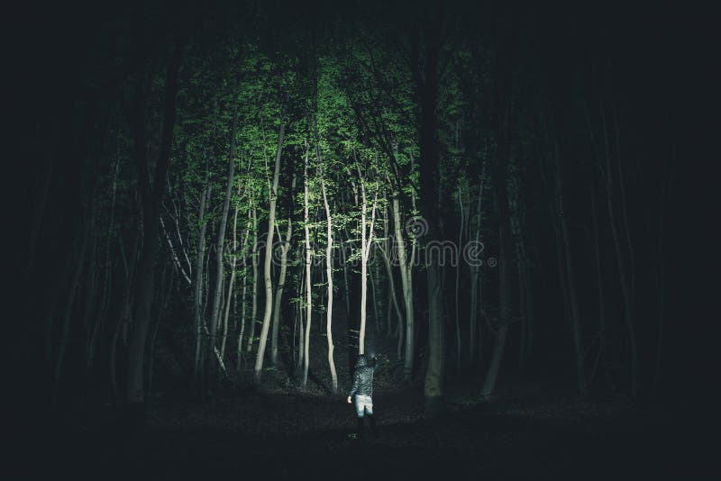 Men Inside Dark Woodland with Powerful LED Flashlight Stock Photo ...