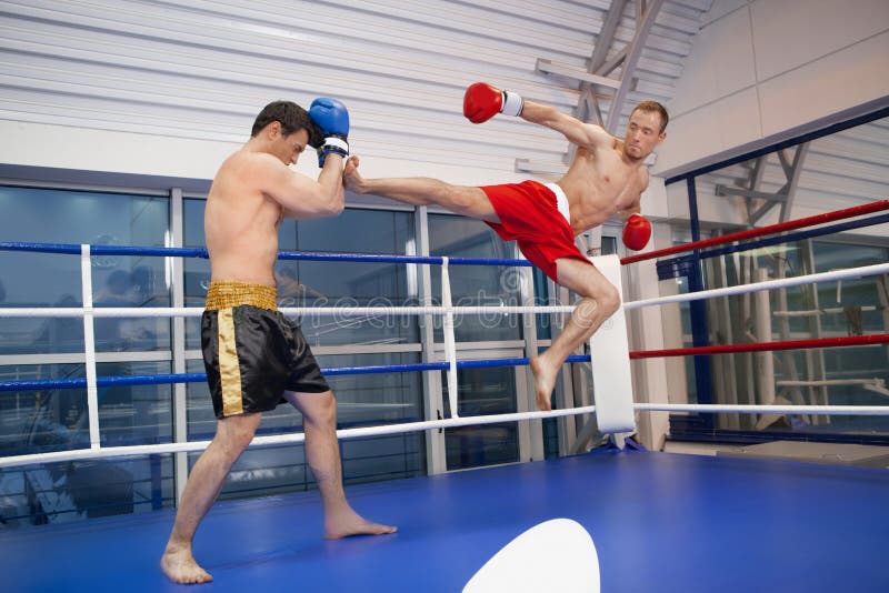 Men kickboxing. stock image. Image of adult, combative - 33128917
