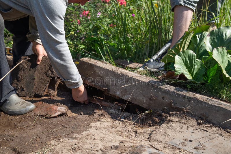Men Lay Curbstone for Grouting Garden Path, Construction Work on Garden ...