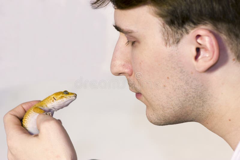 Men and Lizard Looking at Each Other Stock Photo - Image of colorful ...