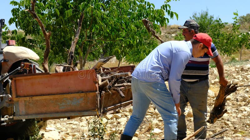 Men Loading Wood into Chest Stock Footage - Video of lumberjack ...