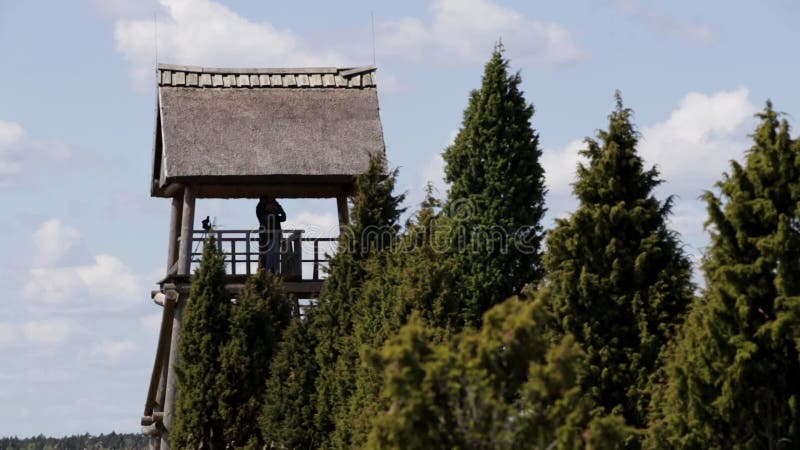 Men Looking through Binoculars, Watching Birds from a Lookout Tower ...