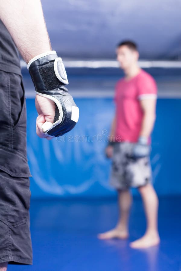 Men at mma training stock image. Image of strong, indoor - 50223705