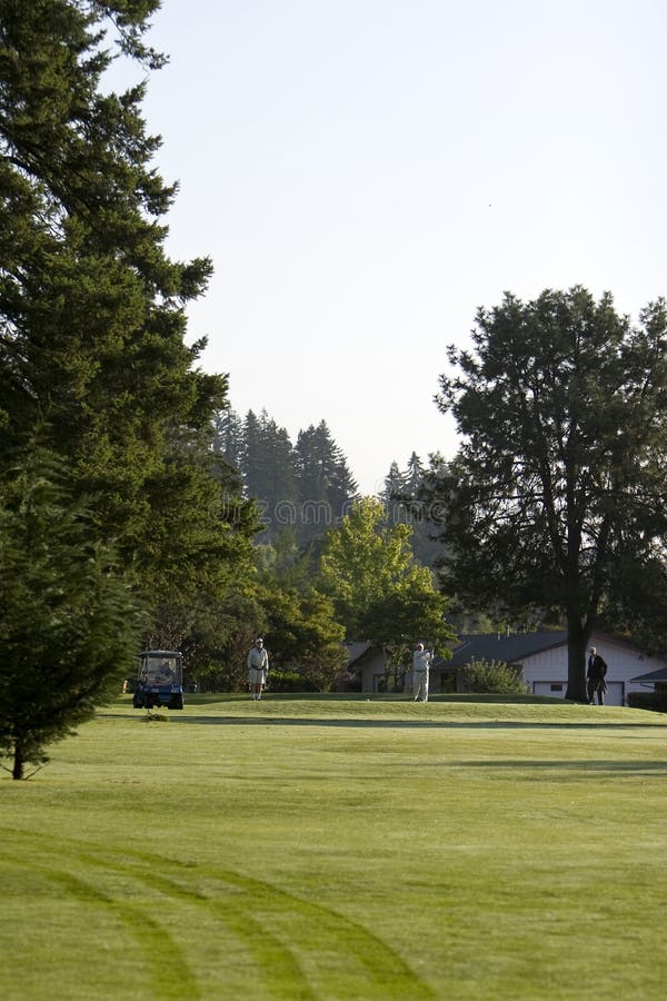 Men Playing Golf On Course - Vertical Picture. Image: 5996060