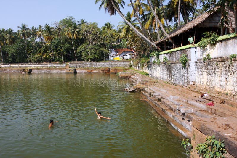 Boy Jumps in Water Pool in India Editorial Stock Photo - Image of asian ...