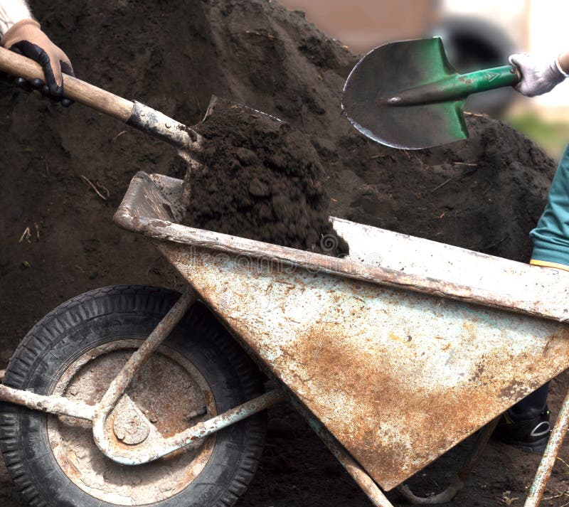 Men Poured Soil into the Wheelbarrow with Shovels Stock Photo - Image ...