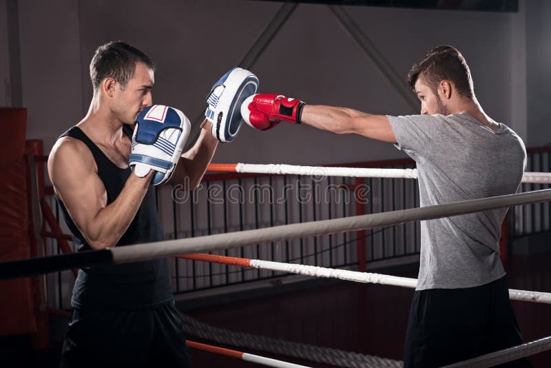 Men Practicing Boxing on Ring Stock Photo - Image of fist, millennial ...