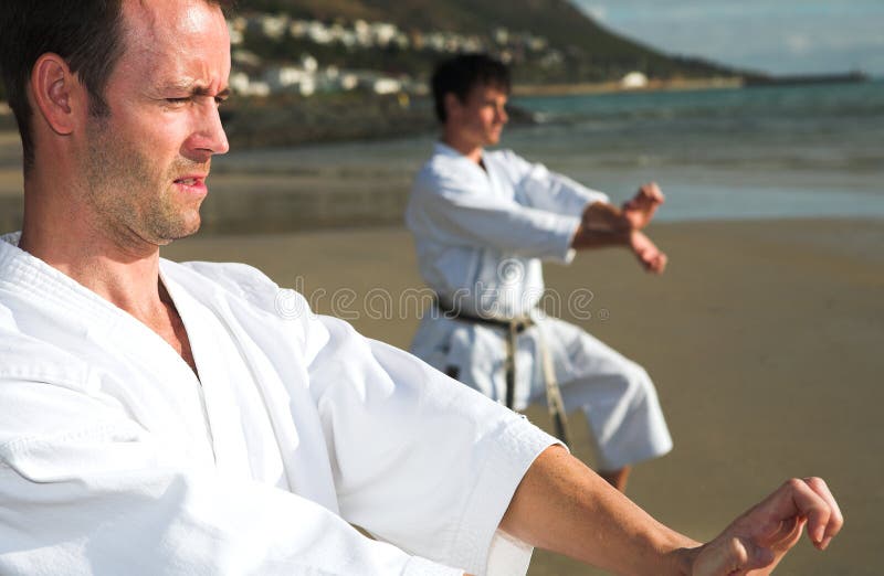 Men practicing Karate stock photo. Image of fight, nature - 2647928