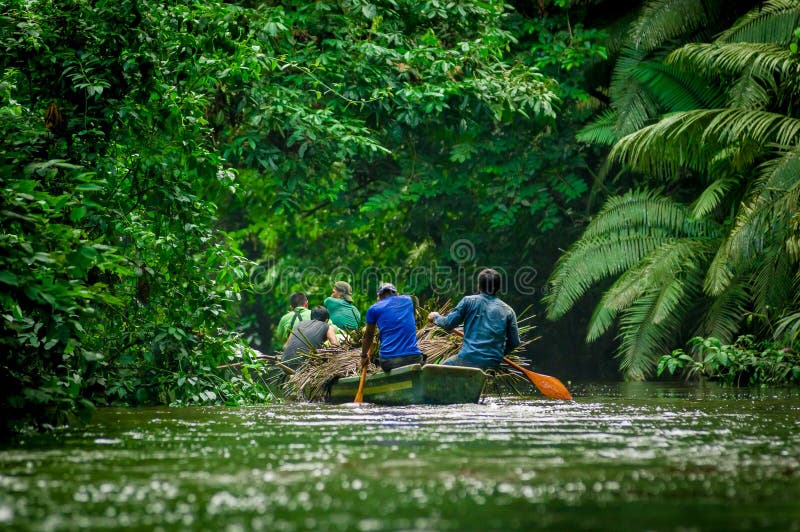 Men Rowing, Wooden Boat in the Jungle Editorial Stock Image - Image of ...