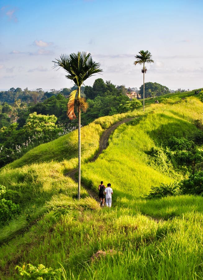 Men Running Along the Path Passing through the Beautiful Field Stock ...