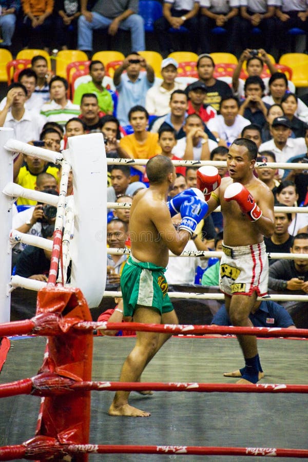 Women s Kick Boxing Action editorial image. Image of muay - 9498315