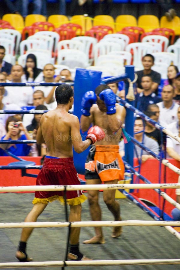 Men s Kick Boxing Action editorial stock image. Image of championship ...