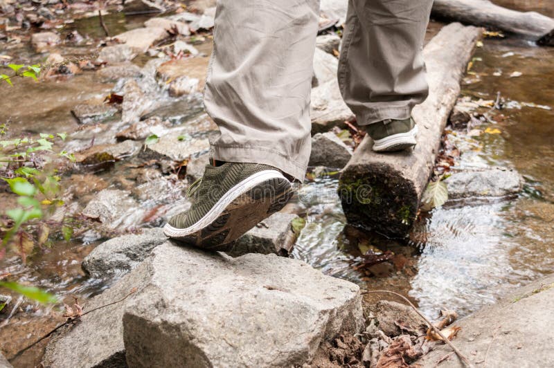 Men`s Legs Cross a Forest River on a Log, the Concept of Tourism Stock ...