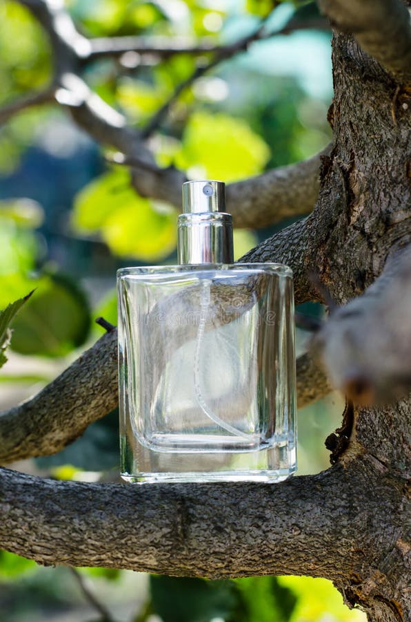 Men`s Perfume on a Tree Branch. Perfume on a Background of Leaves Stock ...