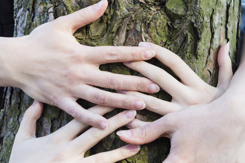 Men`s and Woman`s Hands Hugging a Tree. Stock Photo - Image of ...
