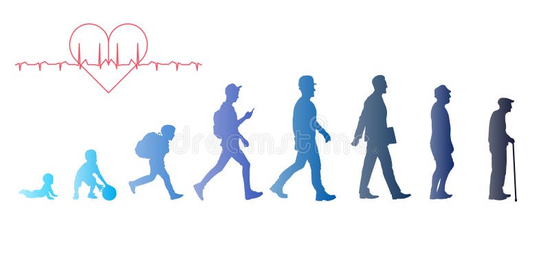 Men, Stages of Development. Decorated with a Gradient Stock Vector ...