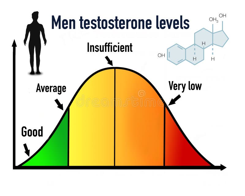 Testosterone Chart Stock Photos - Free & Royalty-Free Stock Photos from ...